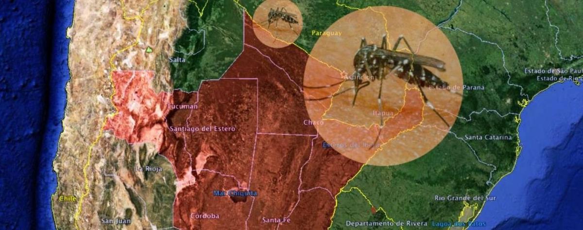 Alerta dengue: el mapa de la peligrosa enfermedad que afecta a medio ...