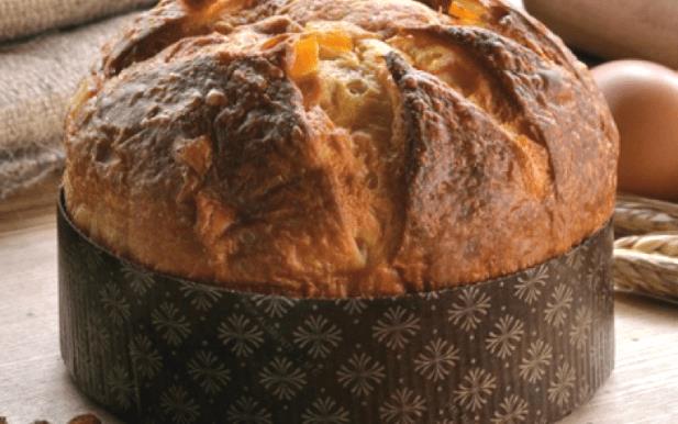 Una receta para las fiestas: el pan dulce navideño en cuatro pasos ...