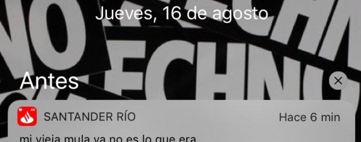 "Mi vieja mula ya no es lo que era": el insólito mensaje en la app de ...