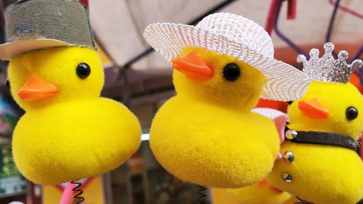 Patitos amarillos en la cabeza: qué son y qué significado tienen - Big ...