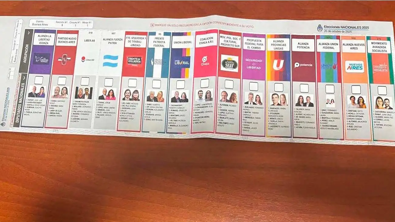 Para algunas cosas, sí hay plata: el Gobierno admitió que reimprimir las boletas únicas costaría ...