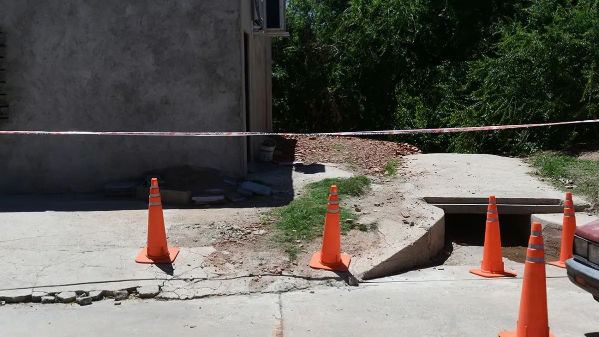 Hallazgo macabro en Córdoba: un perro llevó a su casa una bolsa con ...