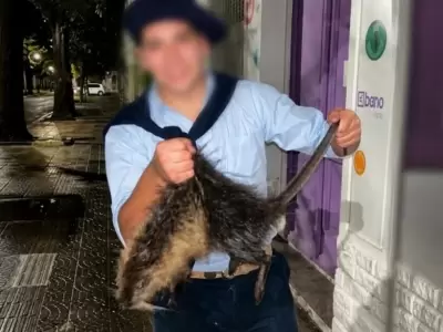 Denuncia penal a dos jóvenes por matar a patadas a una nutria en Bahía ...