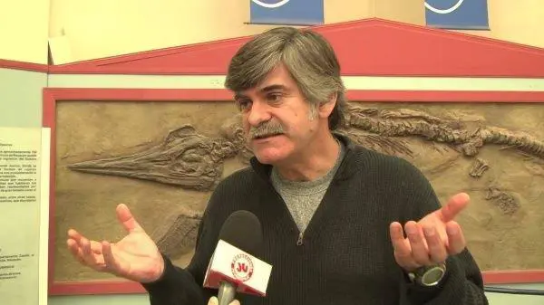 ¿Vivos? La feroz guerra de los dinosaurios en la Patagonia - Big Bang! News